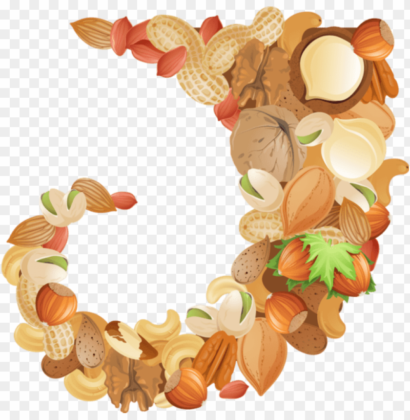 Free download | HD PNG mixed nuts with hazelnut shell decoration png ...