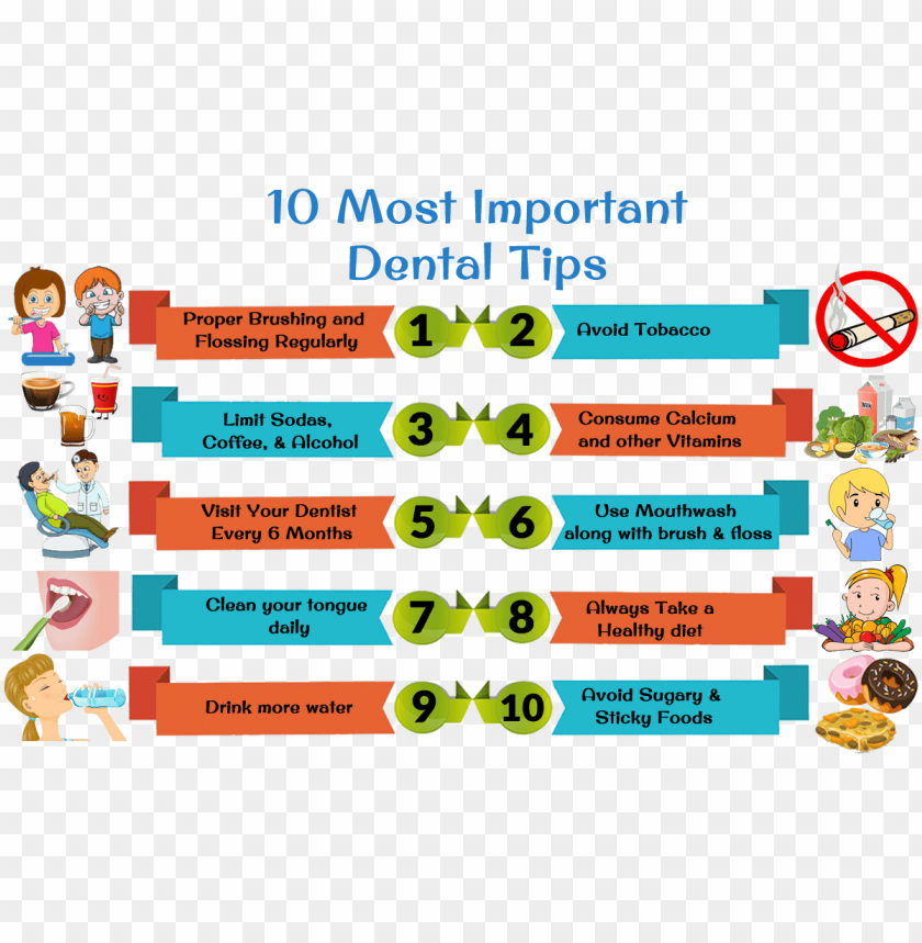 Free download | HD PNG 10 most important dental tips PNG transparent ...