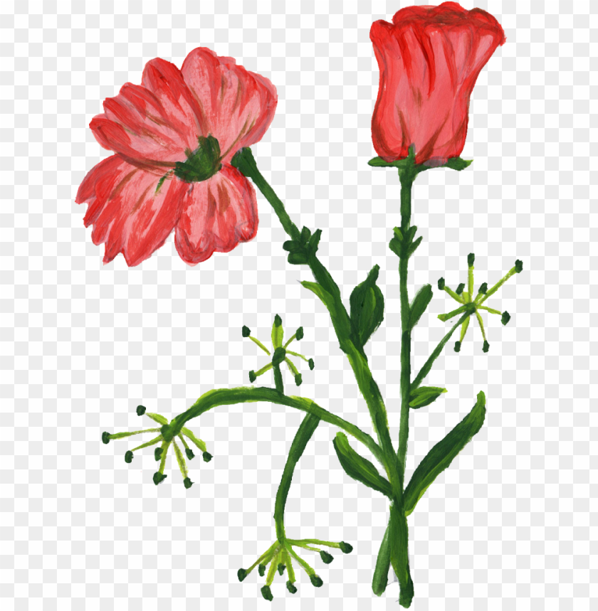 Free download | HD PNG 10 paint flower png transparent onlygfx com ...