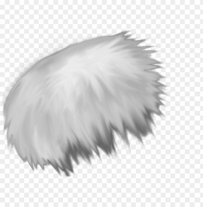 Free download | HD PNG 1006 x 477 10 fur texture PNG transparent with ...