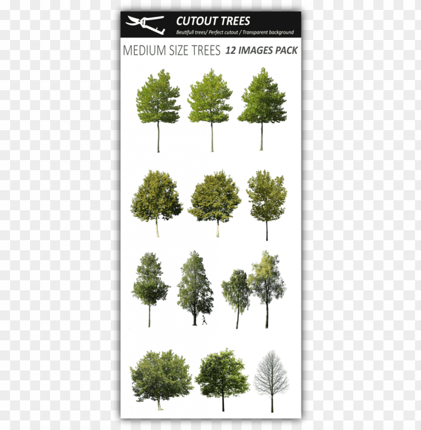 Free download | HD PNG 12 medium size trees pack architecture PNG ...