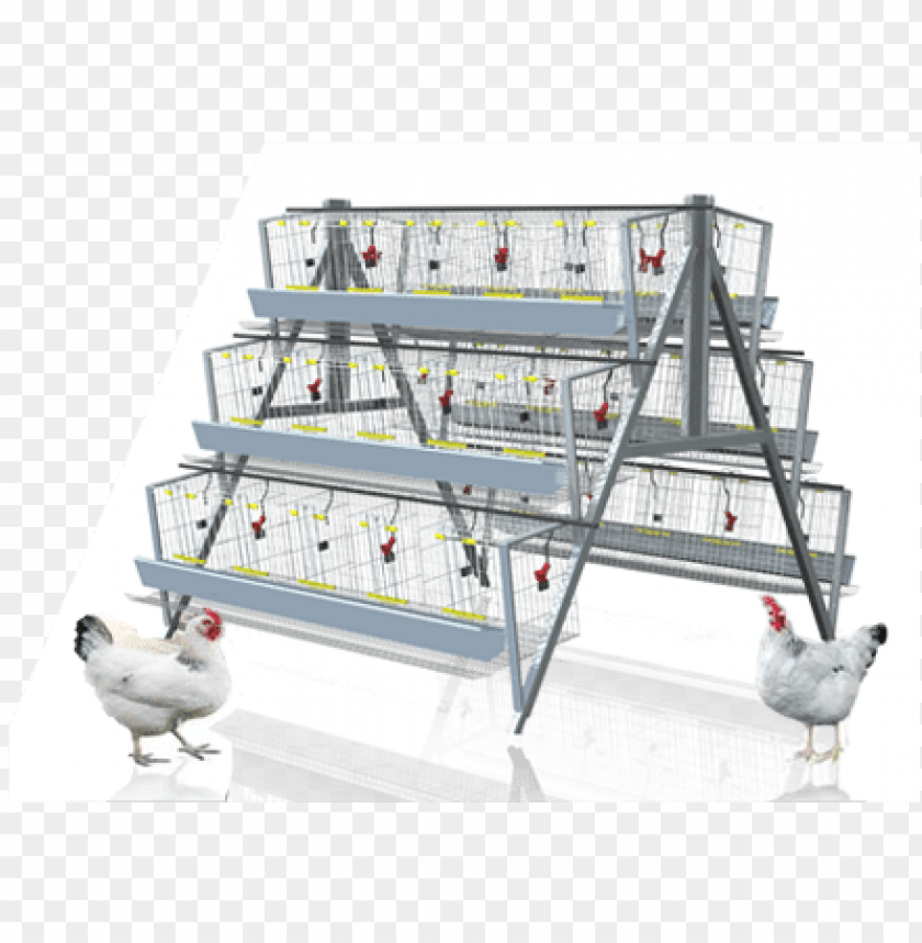 Free download | HD PNG 120 birds chicken battery cages battery cages ...
