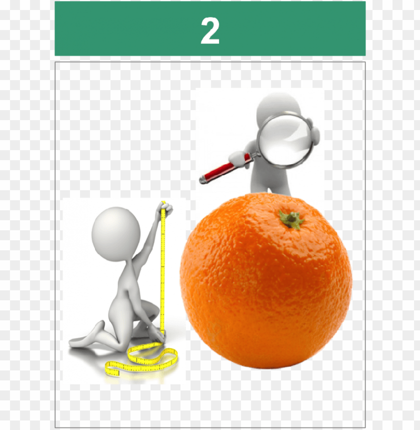 Free download | HD PNG 2 600x822 blood orange PNG transparent with ...