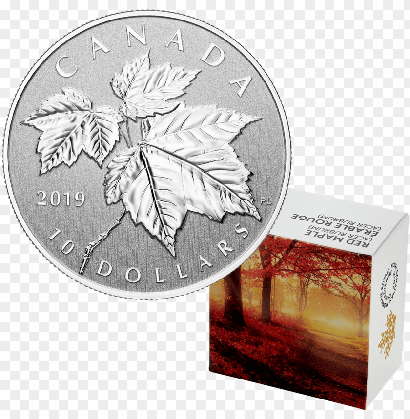 Free download | HD PNG 2019 12 oz canada maple leaf silver coi PNG ...