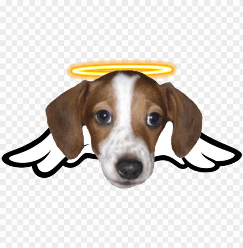 Free download | HD PNG 243 frankerz emote PNG transparent with Clear ...