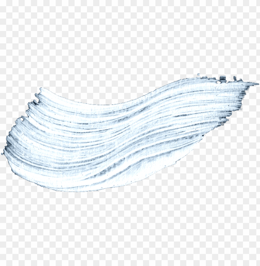 Free download | HD PNG 26 white paint brush stroke marine invertebrates ...