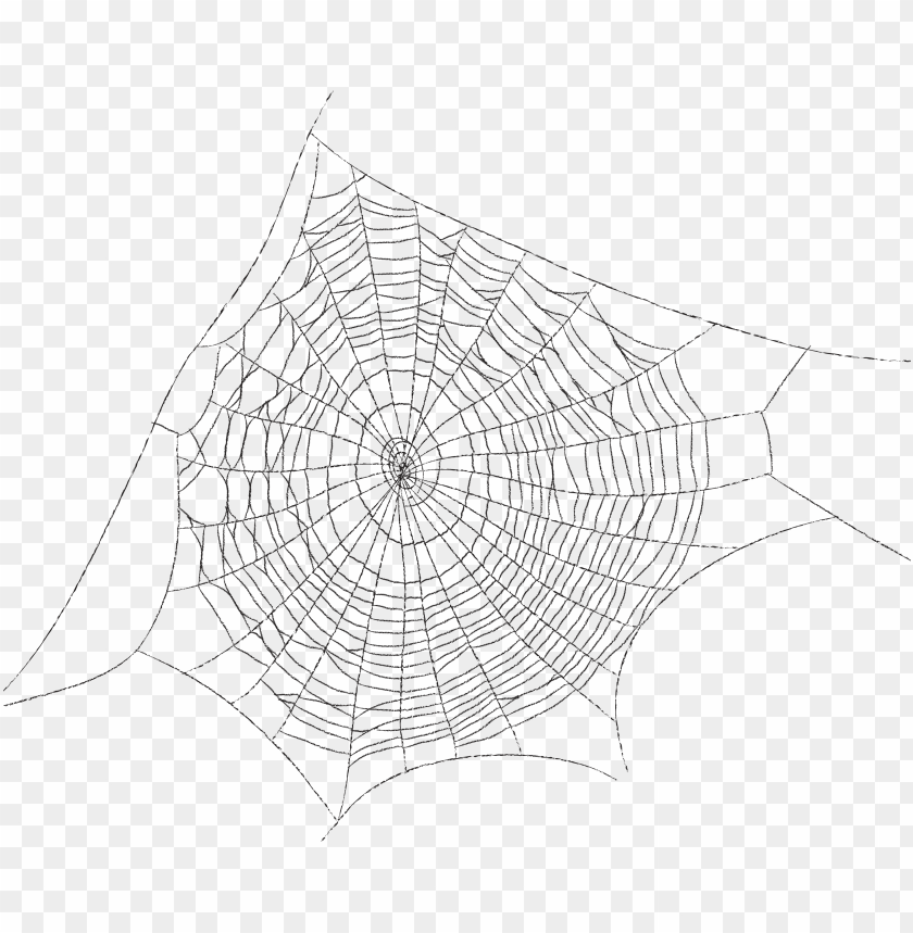 Free download | HD PNG 3600 x 3011 13 паутина в пнг PNG transparent ...