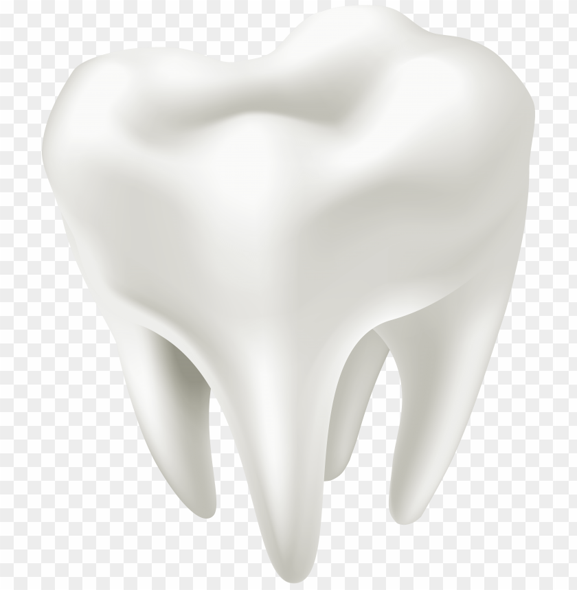 Molar Structure cutout PNG & clipart images | TOPpng