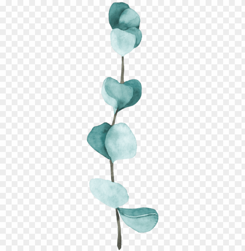 Free download | HD PNG 4 tuli PNG transparent with Clear Background ID ...