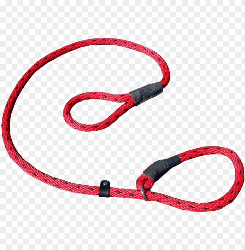 Free download | HD PNG 401058 401058 1 pet harness PNG transparent with ...