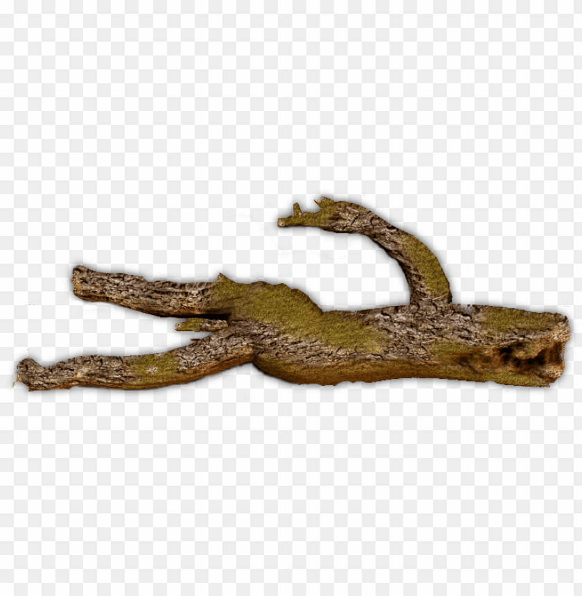 Free download | HD PNG 44 decaying log5 06 feb 2009 fallen tree trunk ...