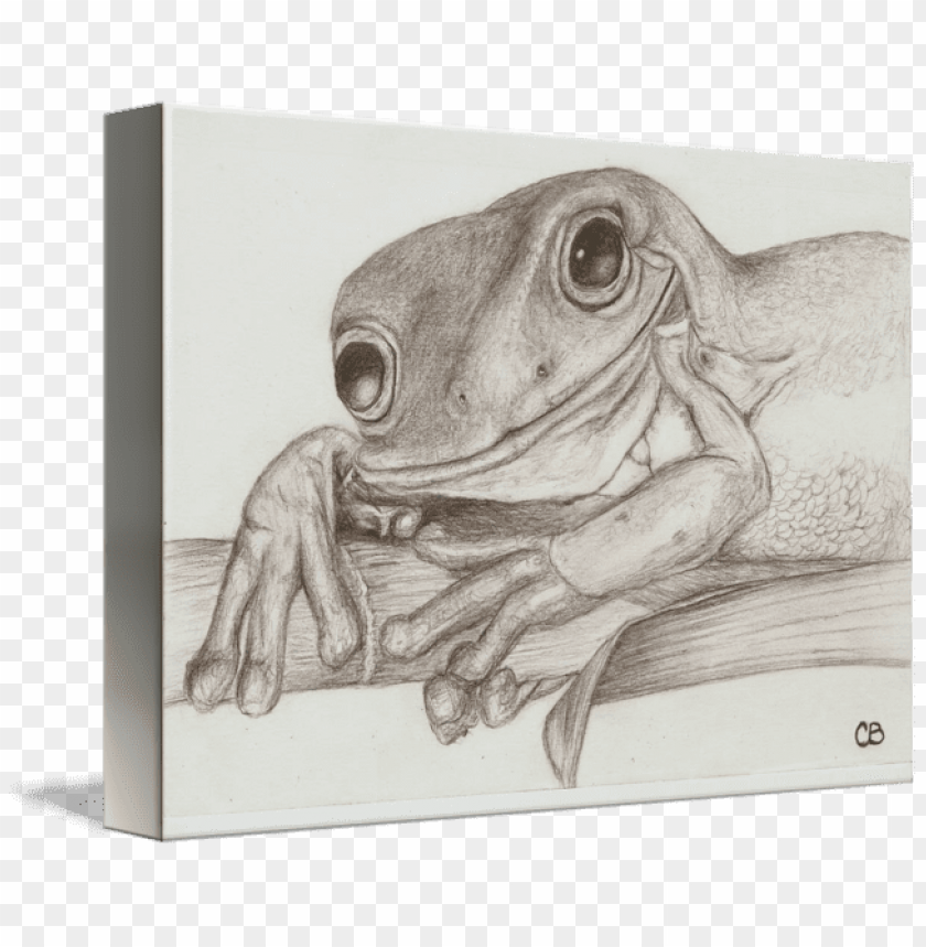 Free download | HD PNG 650 x 530 3 toad PNG transparent with Clear ...