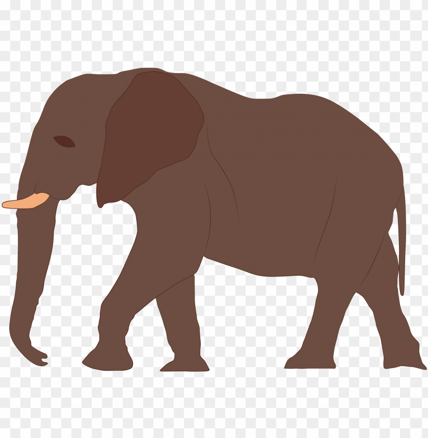 Free download | HD PNG 7 ft indian elephant PNG transparent with Clear ...