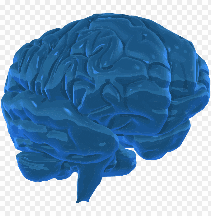 Free download | HD PNG a 3d graphic image of the human brain blue 3 d ...