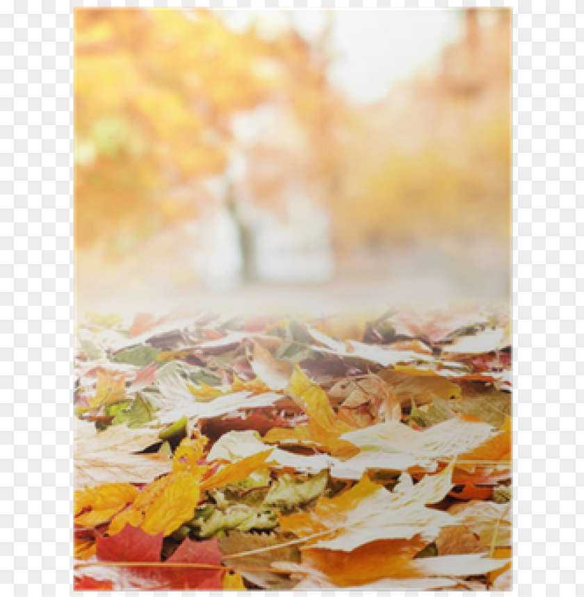 Free download | HD PNG a colorful background autumn image with fallen ...