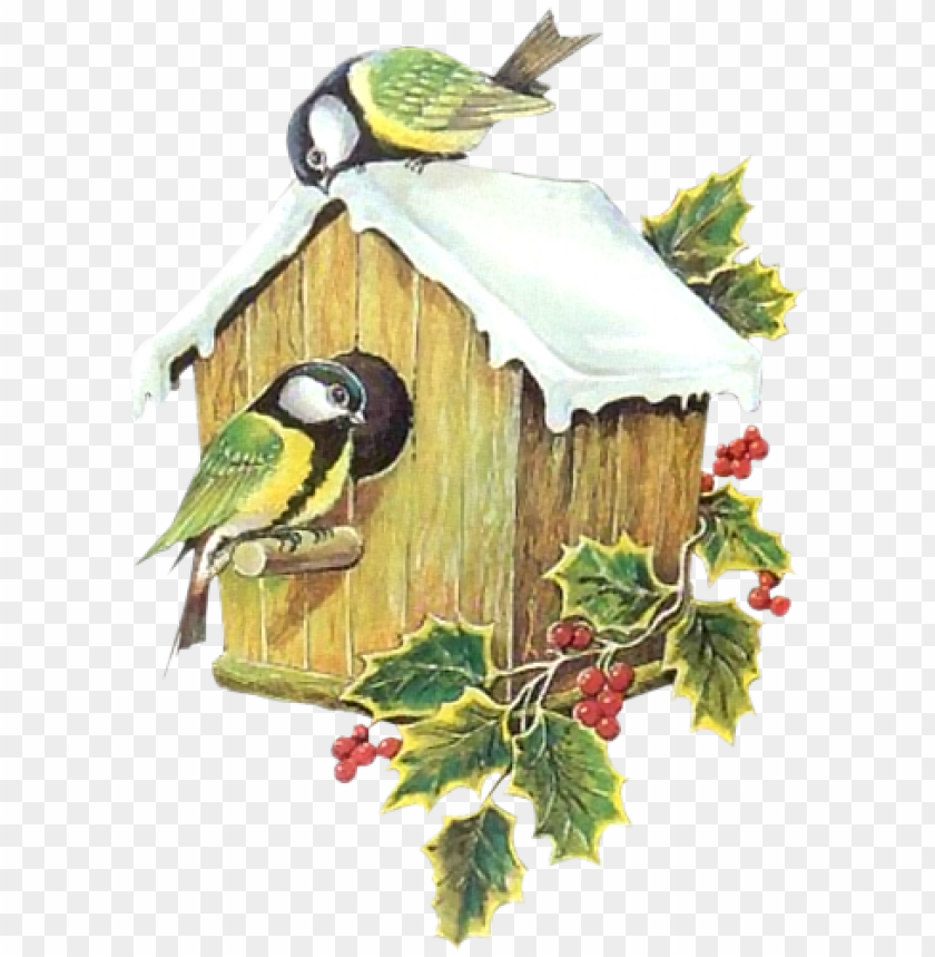 Free download | HD PNG a feedback would be very nice bird in house ...