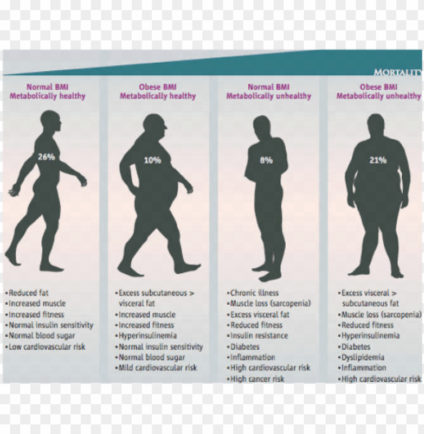 Free download | HD PNG a graphic description of metabolically healthy ...