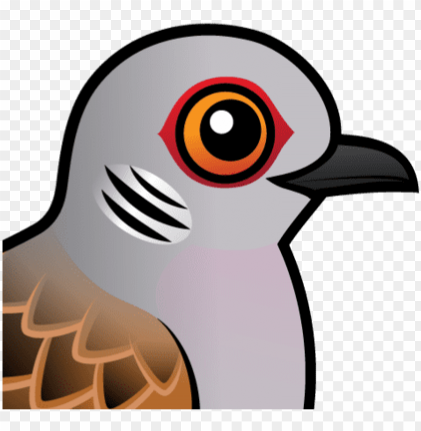 Free download | HD PNG about the european turtle dove pigeons and doves ...