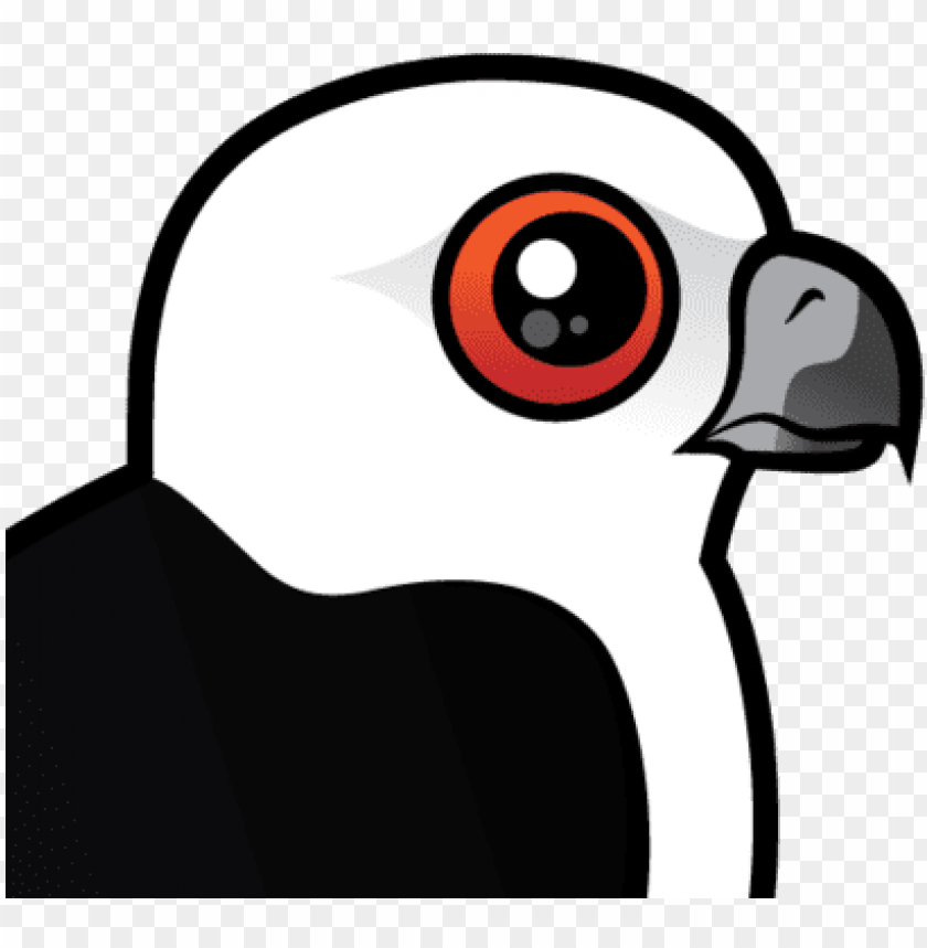 Free download | HD PNG about the swallow tailed kite about the swallow ...