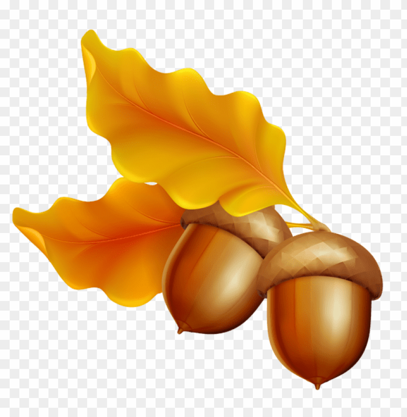 Free download | HD PNG oak leaves with acorns png clipart png photo ...