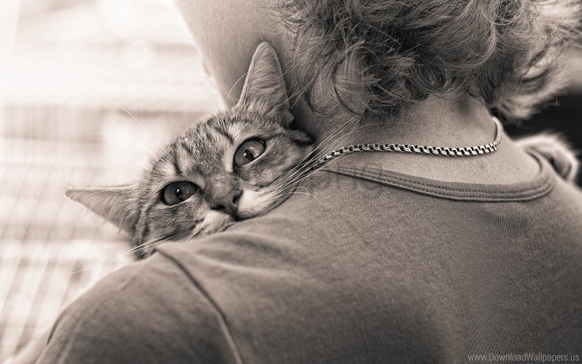 Free download | HD PNG affection black and white cat hugs people ...