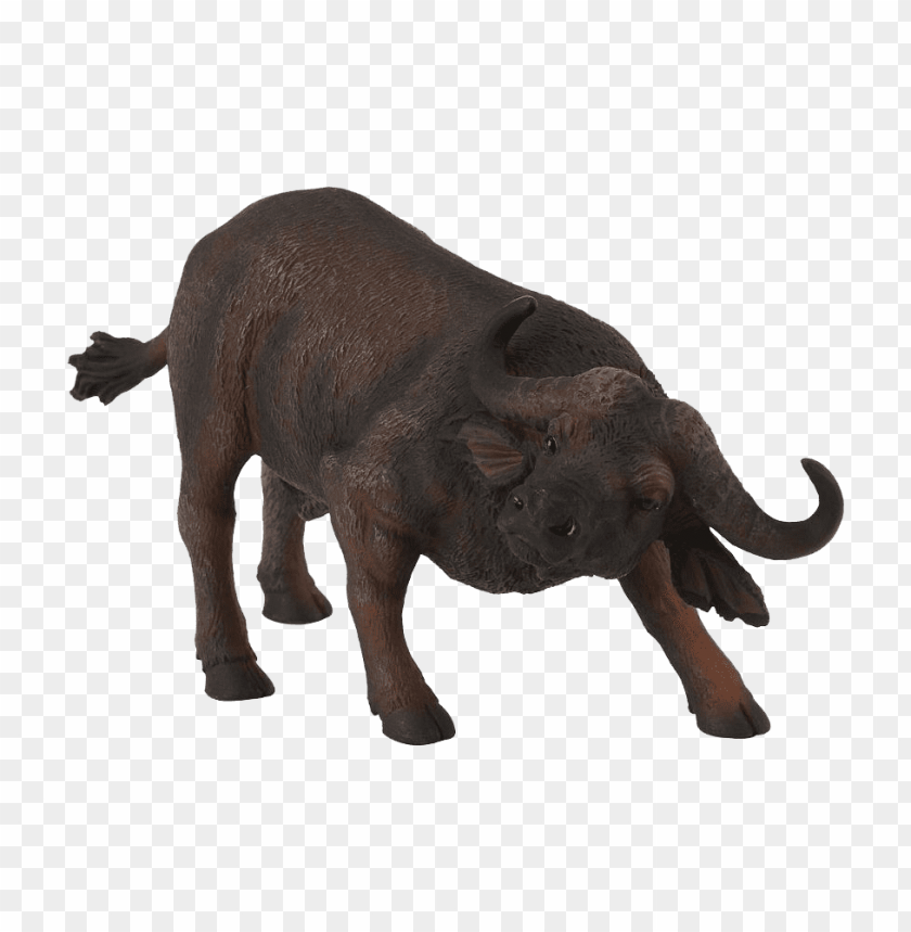 Free download | HD PNG african buffalo | TOPpng