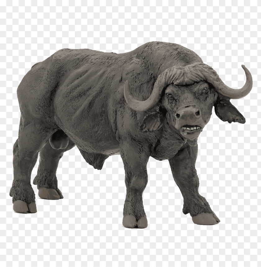 Free download | HD PNG african buffalo png images background - Image ID ...