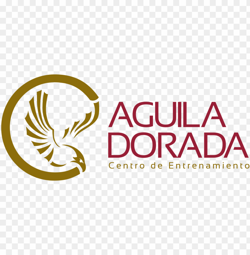 Free download | HD PNG águila dorada logo aguila dorada PNG transparent ...