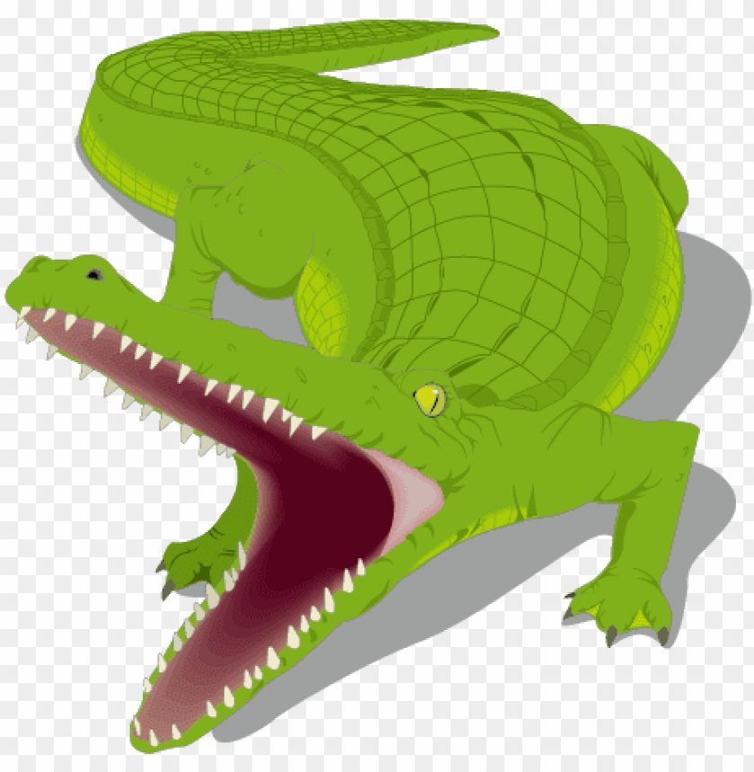Free download | HD PNG alligator PNG transparent with Clear Background ...