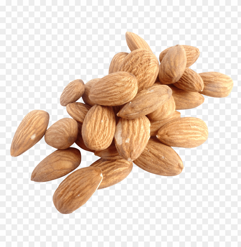 Free download | HD PNG almonds with rough texture transparent | TOPpng