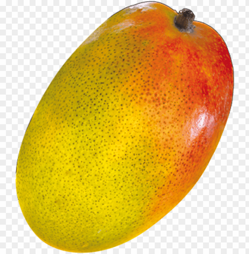 Free download | HD PNG alphonso mango png pic seedless fruit PNG ...