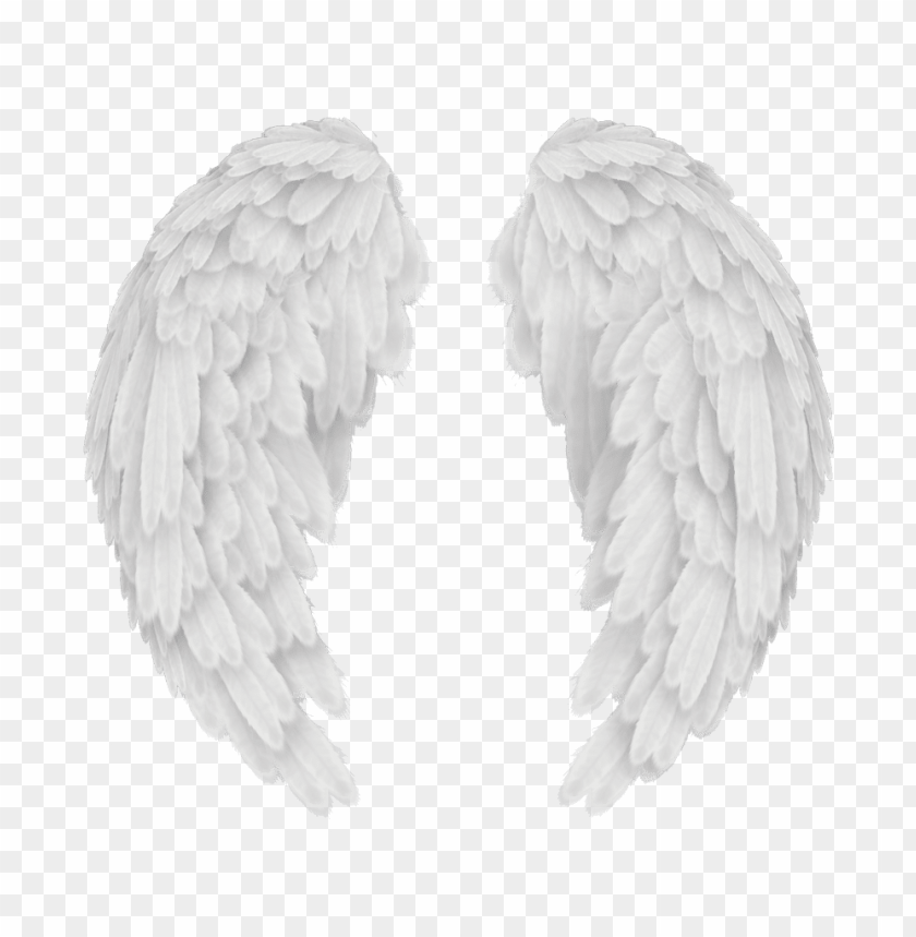 Free download | HD PNG angels in america wings angel wings png ...
