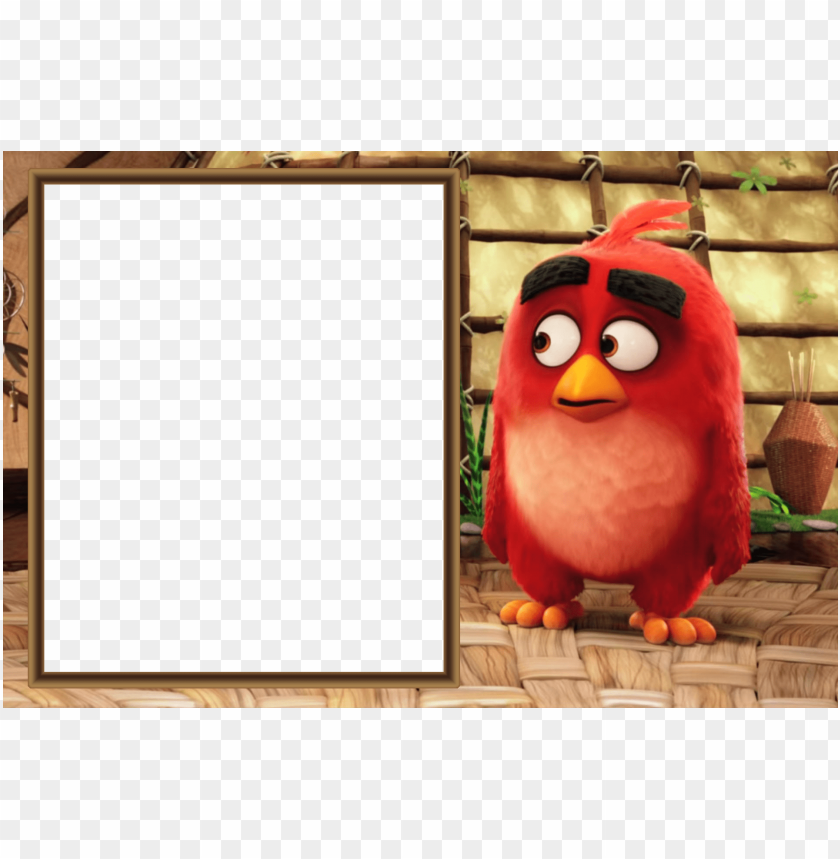 Free download | HD PNG angry birds movie kids png frame background best ...