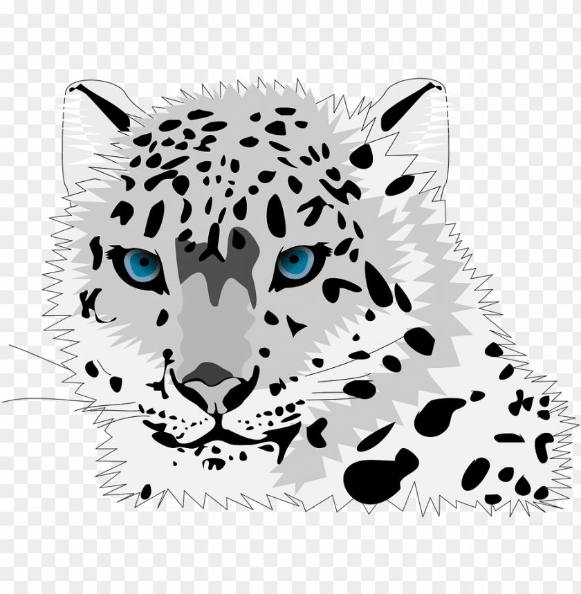 Free download | HD PNG animal cat leopard snow leopard wild cat c ...