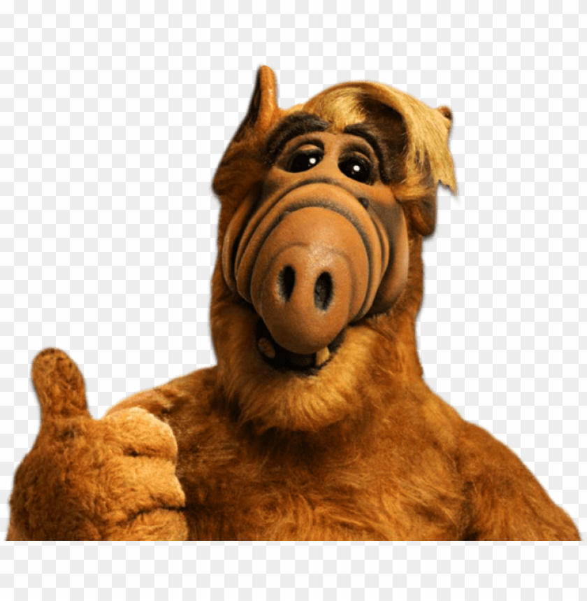 Free download | HD PNG animalalf alf hd PNG transparent with Clear ...