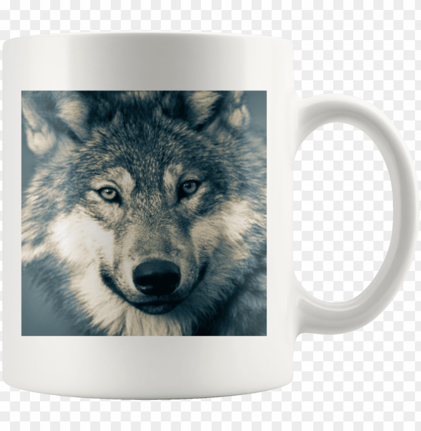 Free download | HD PNG animals in nature high quality PNG transparent ...