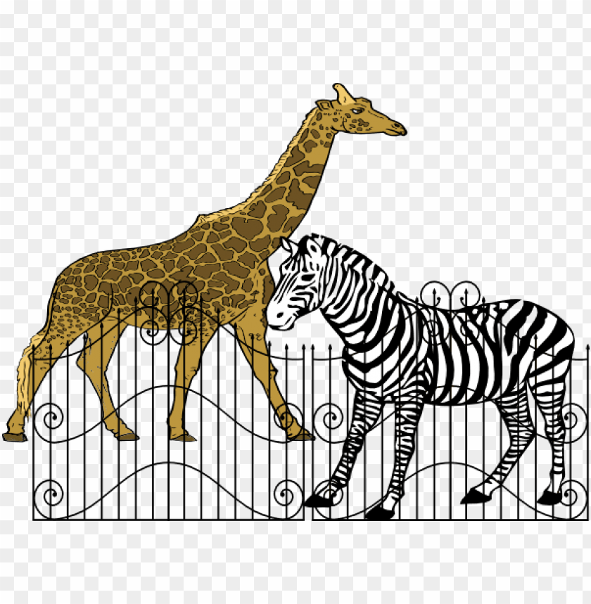 Free download | HD PNG animals in zoos PNG transparent with Clear ...