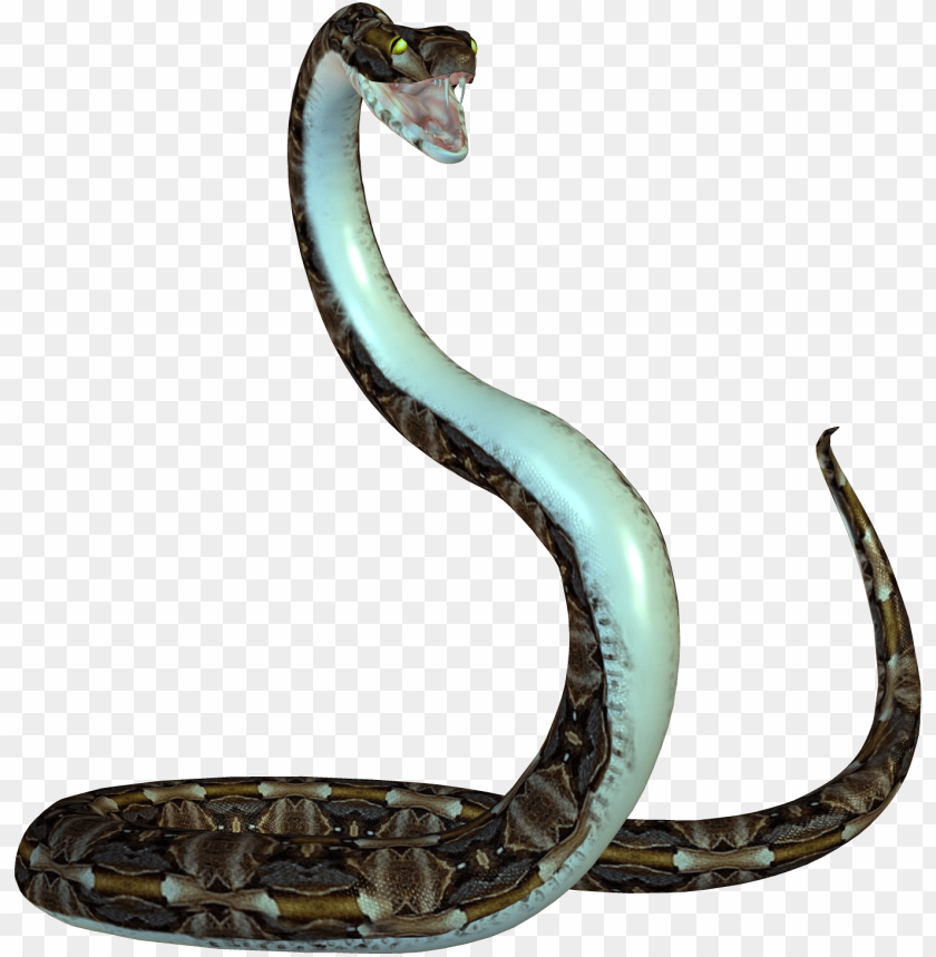 Free download | HD PNG animated snake png images background - Image ID ...