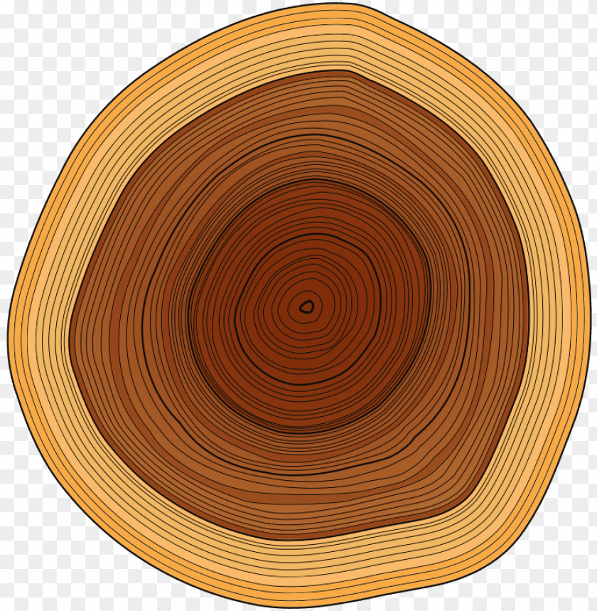 Free download | HD PNG annual rings image royalty free wood log vector ...