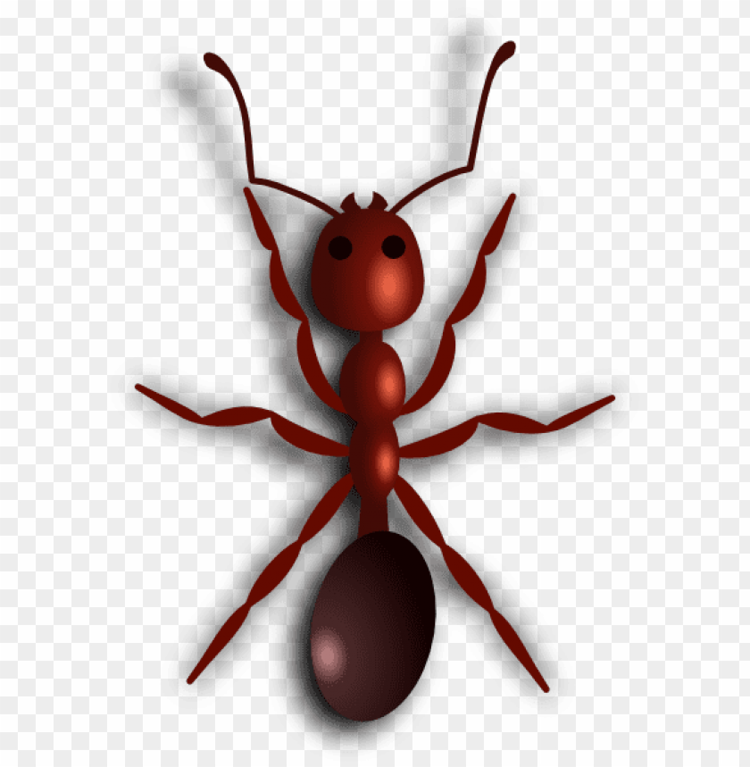 Free download | HD PNG ant cartoon png ant clip art PNG transparent ...