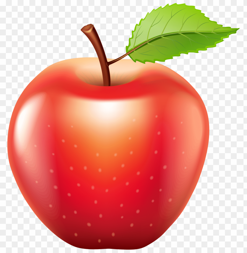 Free download | HD PNG red apple vector illustration clipart png photo ...