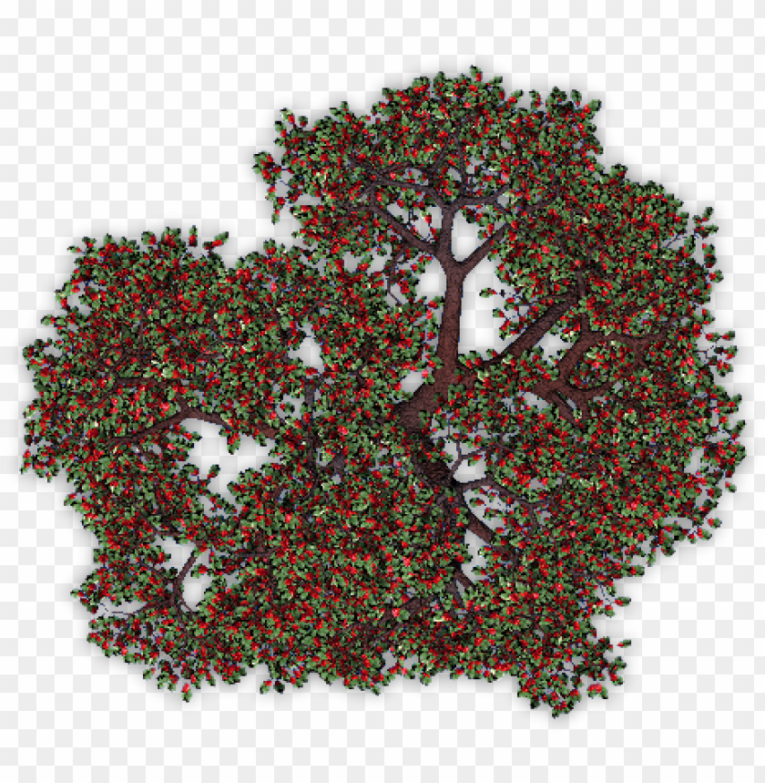 Free download | HD PNG appletree4 blu fruit trees plan PNG transparent ...