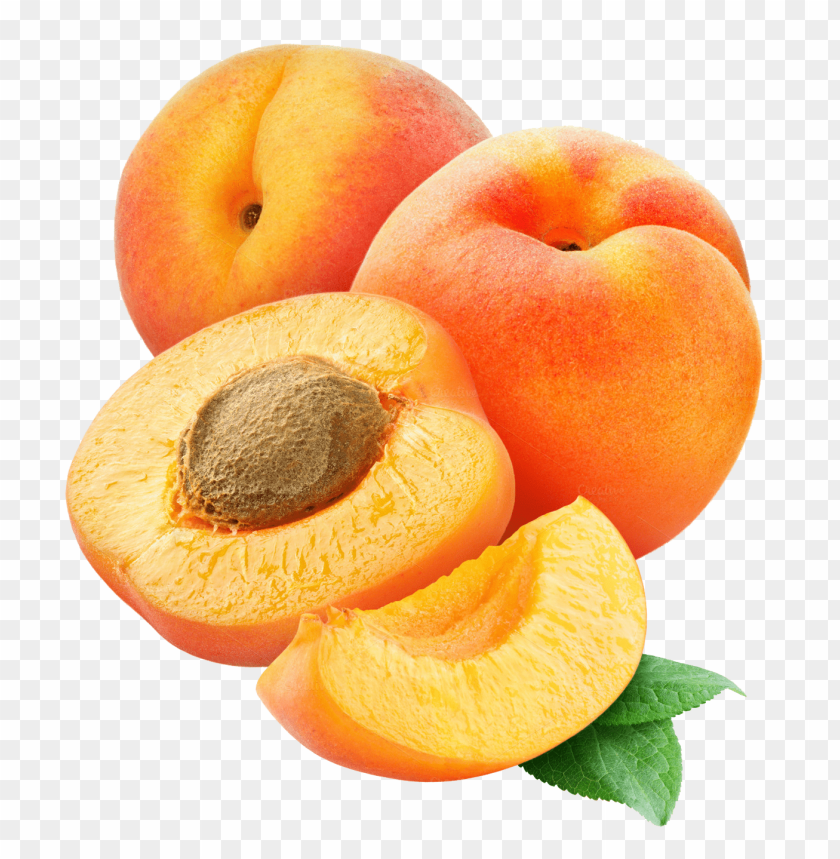 Free download | HD PNG apricots with soft highlights and natural color ...