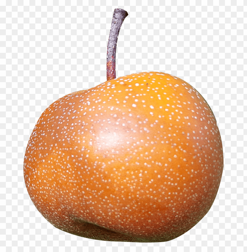 Free download | HD PNG yellow pear with brown skin vector | TOPpng
