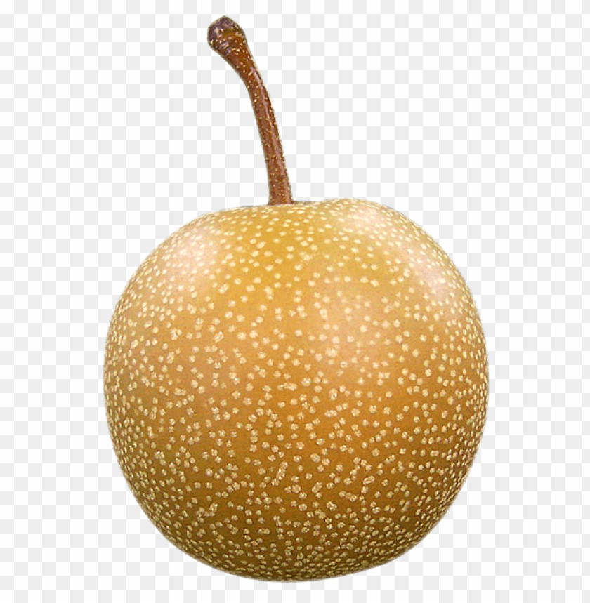Free download | HD PNG single asian pear with natural highlights and ...