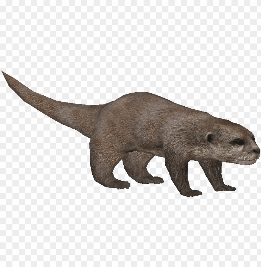 Free download | HD PNG asianotterludo zoo tycoon otter PNG transparent ...