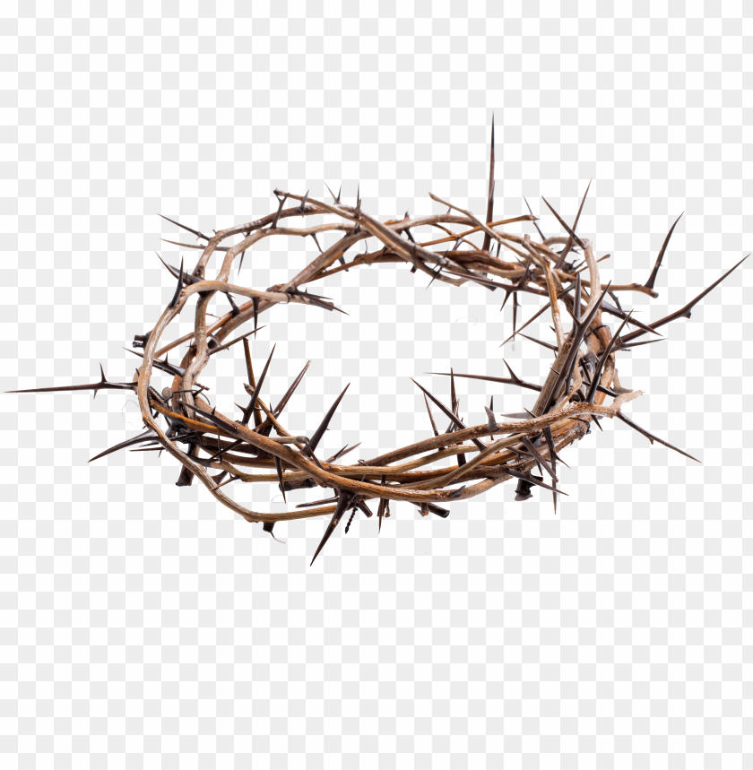 Free download | HD PNG assumption bvm province franciscan crown of ...