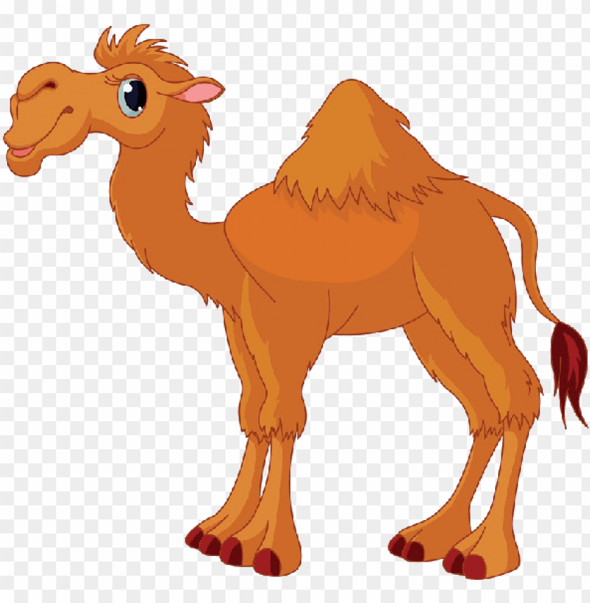 Free download | HD PNG ativity camel clip art gallery camel cartoo PNG ...