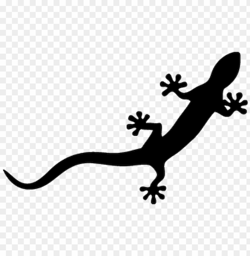 Free download | HD PNG audi 30 ans quattro 2 audi gecko PNG transparent ...