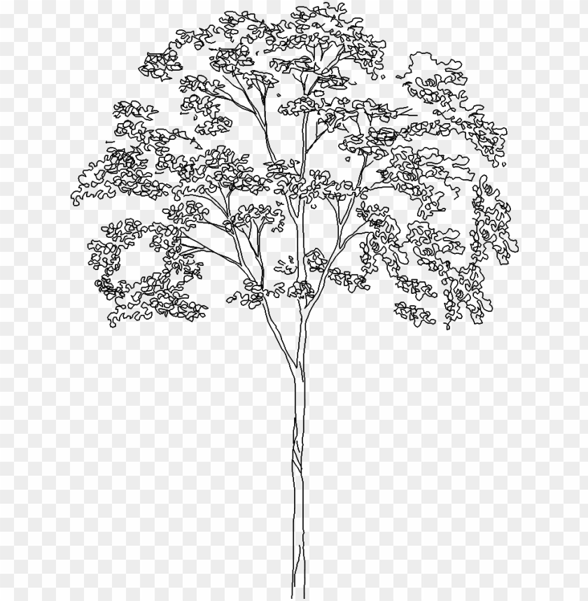 Free download | HD PNG autocad tree PNG transparent with Clear ...